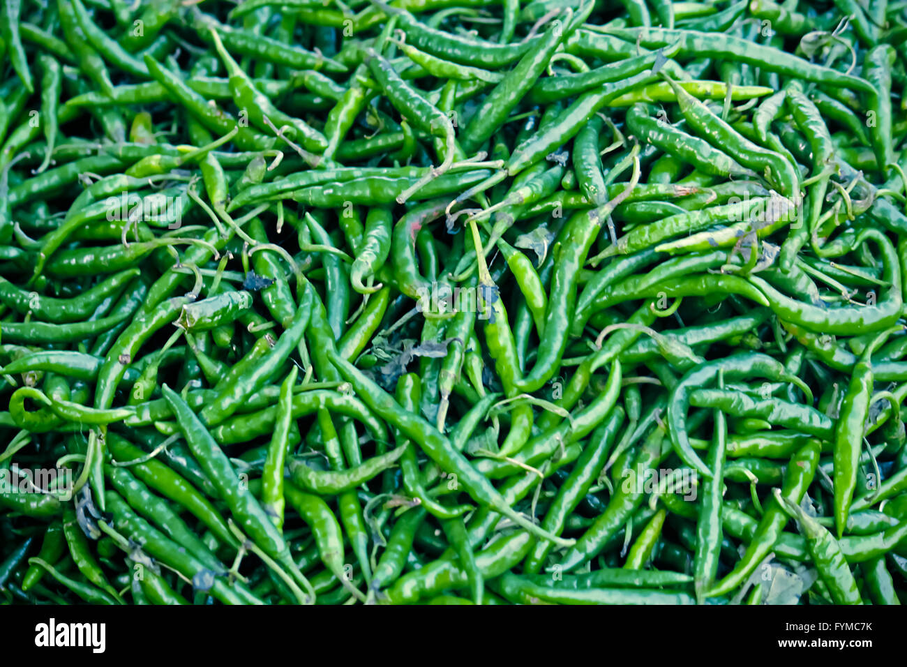 chili pepper, paprika, Capsicum annuum Stock Photo - Alamy