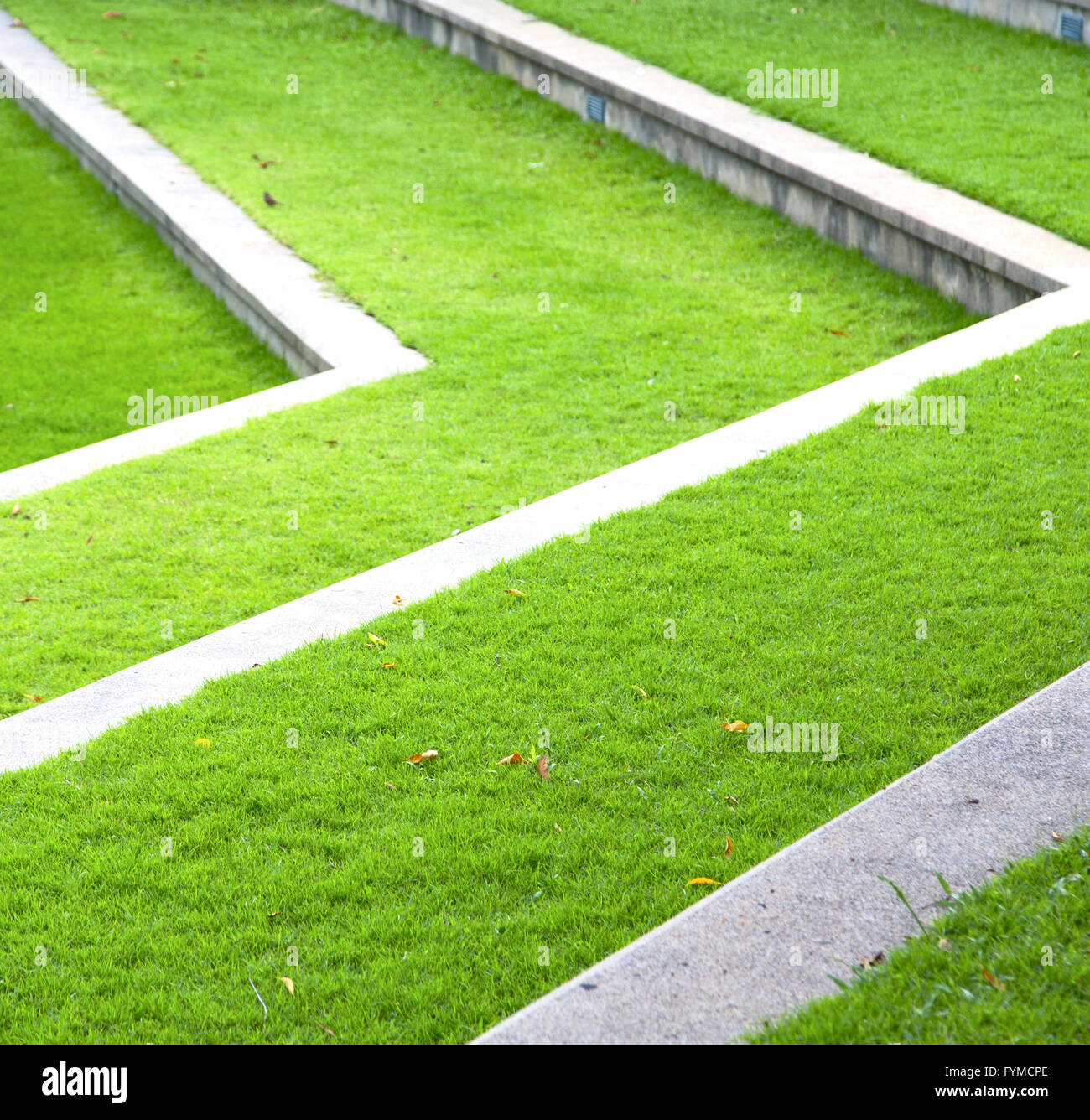 thailand abstract grass in the temple bangkok asia Stock Photo - Alamy