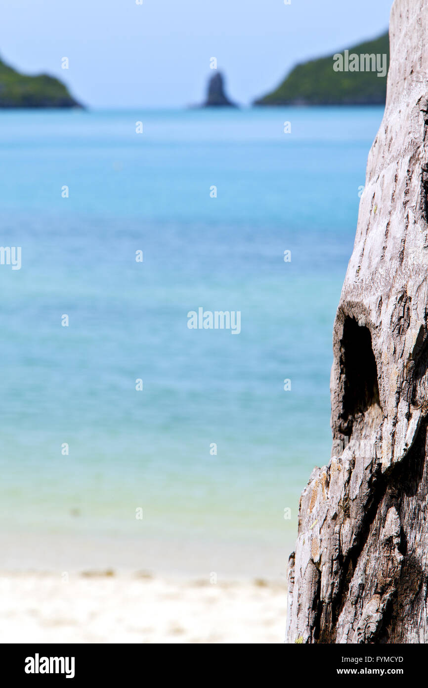 asia beach tree rocks in thailand and south china sea Stock Photo - Alamy
