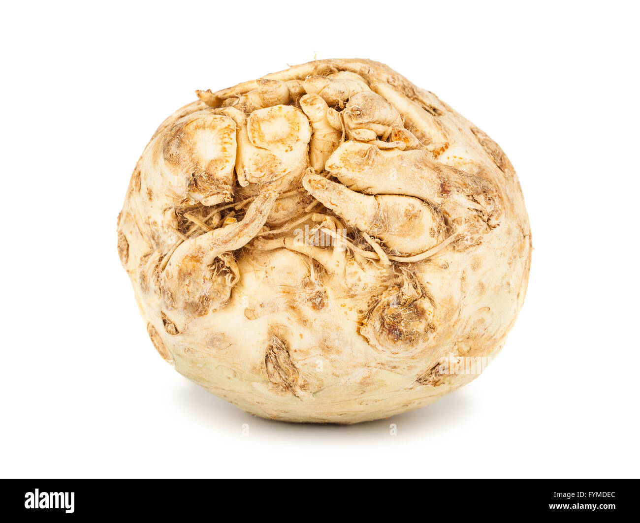 Celeriac root Cut Out Stock Images & Pictures - Alamy