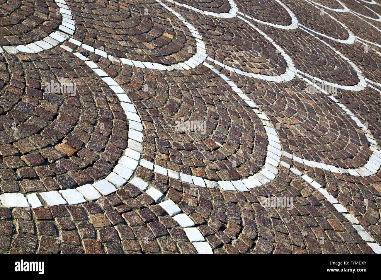 Castano primo hi-res stock photography and images - Alamy