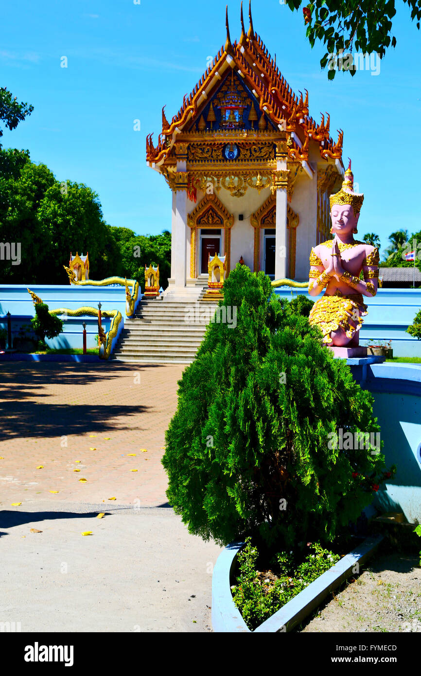 kho samui bangkok in thailand incision of the tree Stock Photo - Alamy