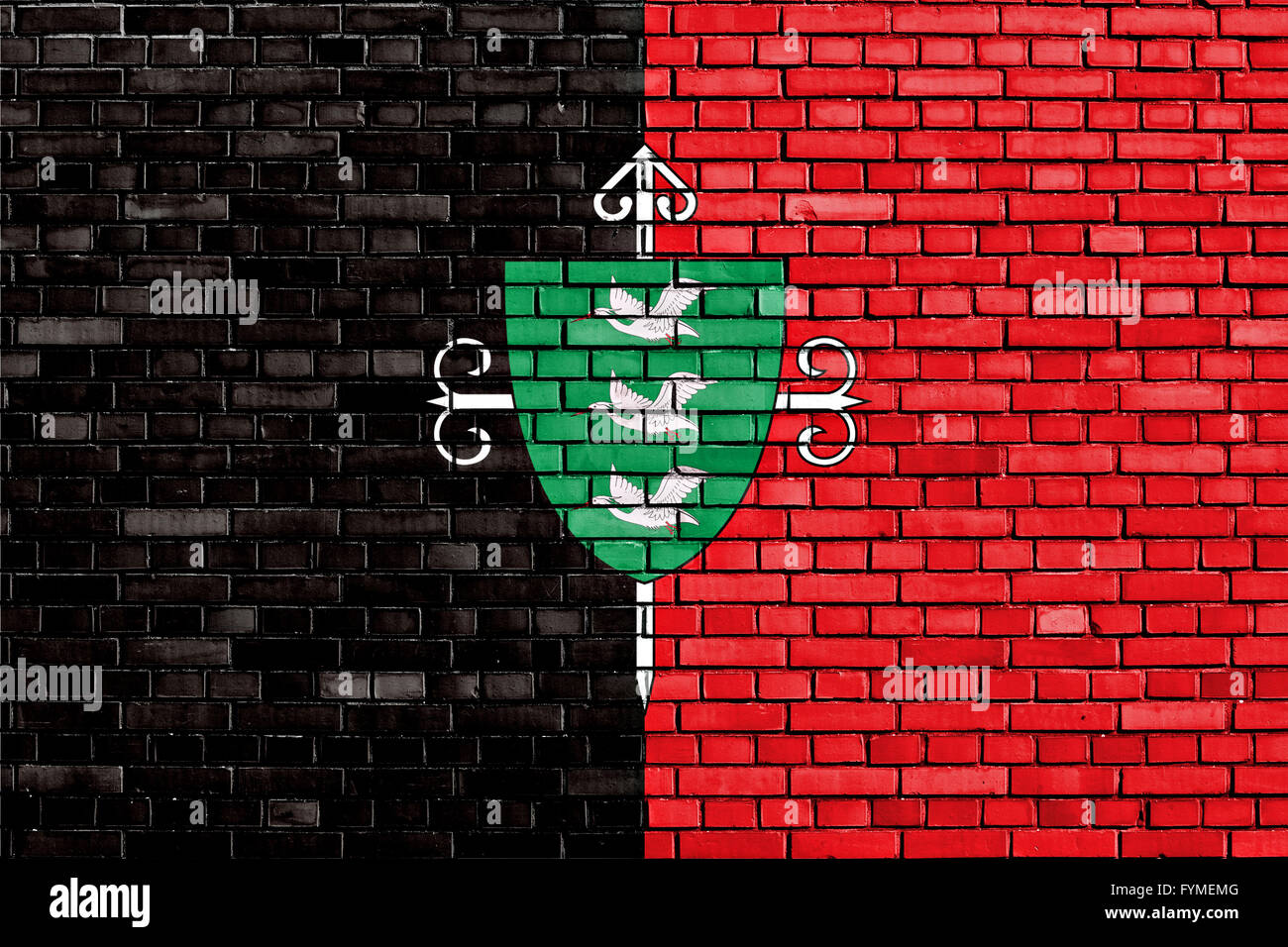 flag of Santa Cruz painted on brick wall Stock Photo - Alamy