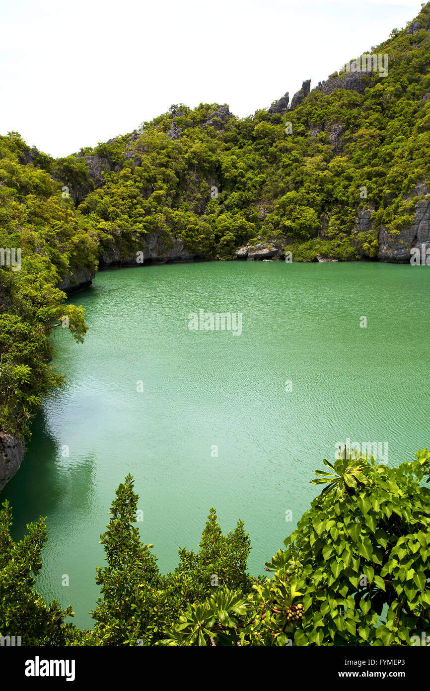 coastline of a green lagoon bay Stock Photo - Alamy