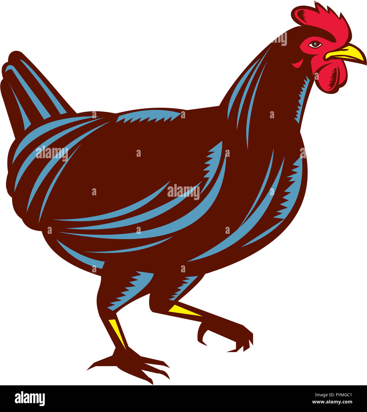 Illustration hen chicken side view hi-res stock photography and images ...