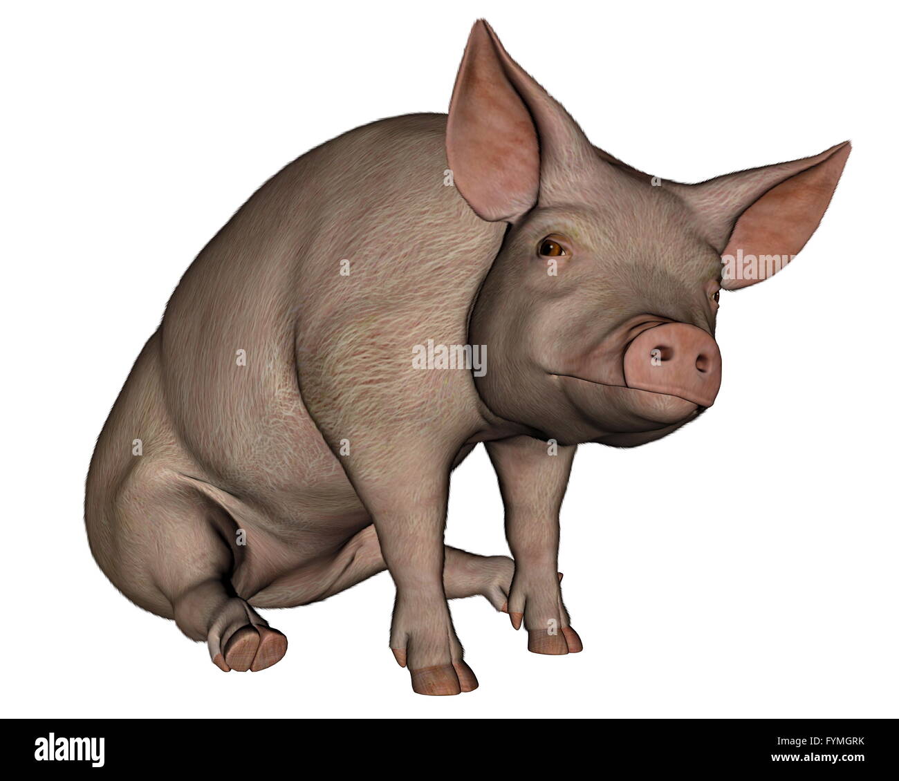 Pig sitting - 3D render Stock Photo - Alamy