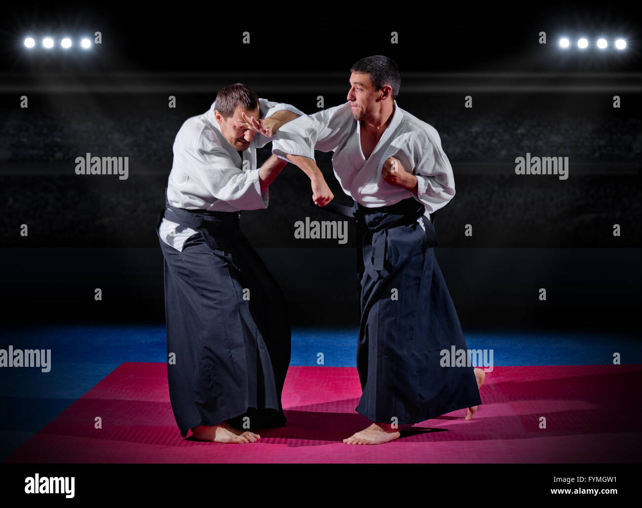 Fight between two martial arts fighters at sports hall Stock Photo - Alamy