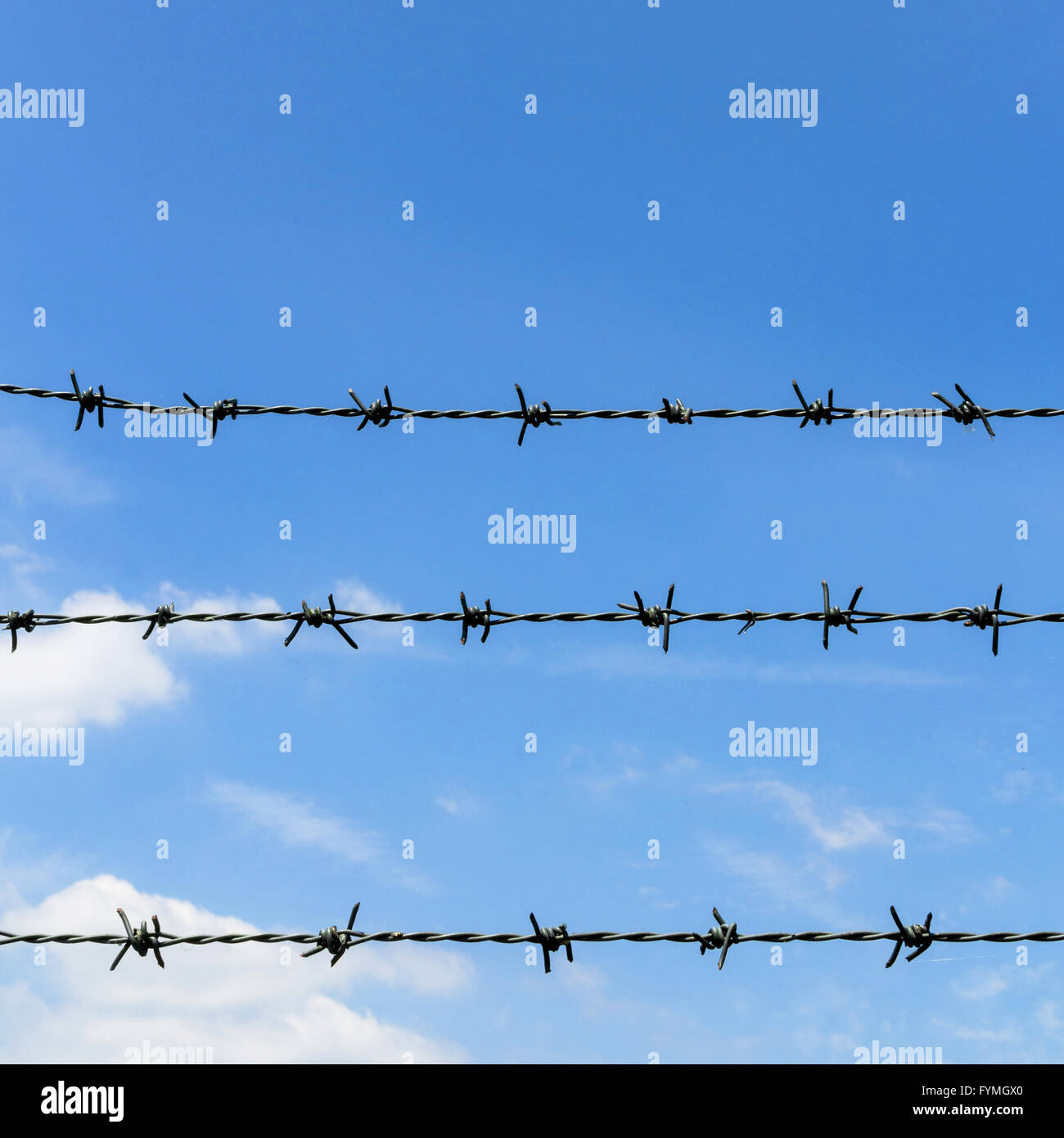 Barbed wire against immigration hi-res stock photography and images - Alamy