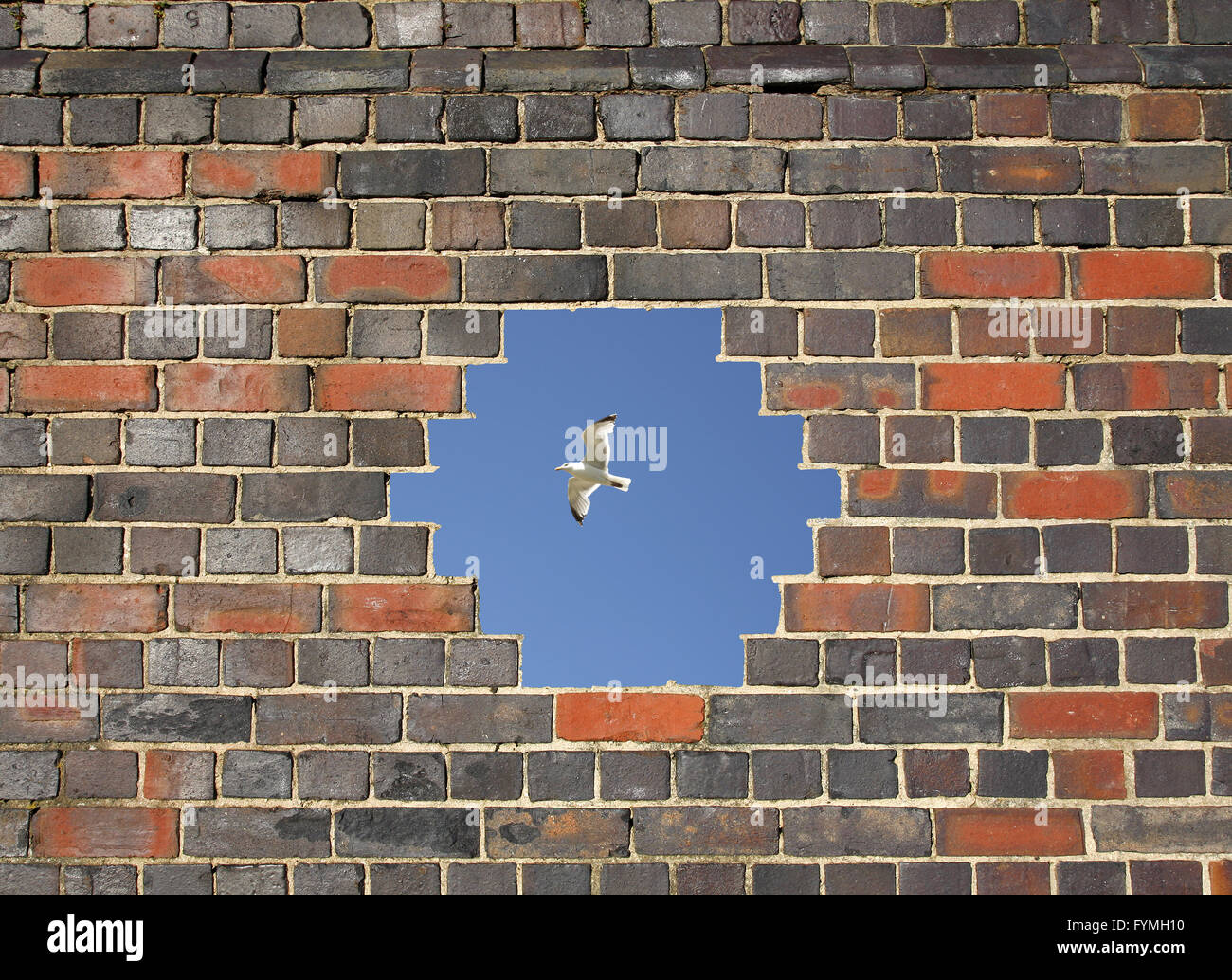 Flying bird through a hole in a brick wall Stock Photo - Alamy
