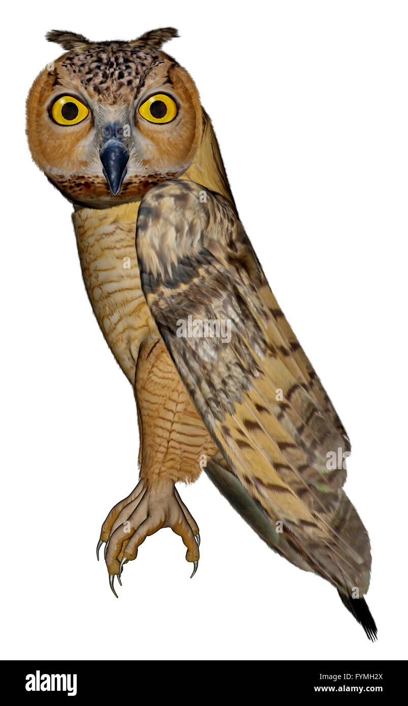 Eagle owl - 3D render Stock Photo - Alamy