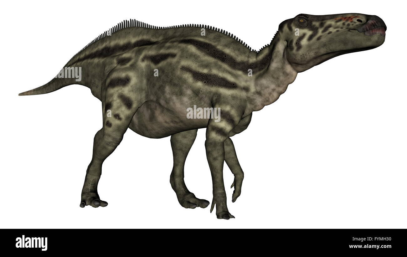 Shantungosaurus dinosaur - 3D render Stock Photo - Alamy