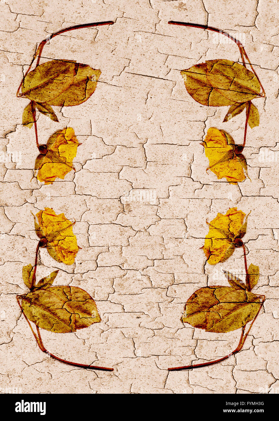 Cracked flower border Stock Photo - Alamy