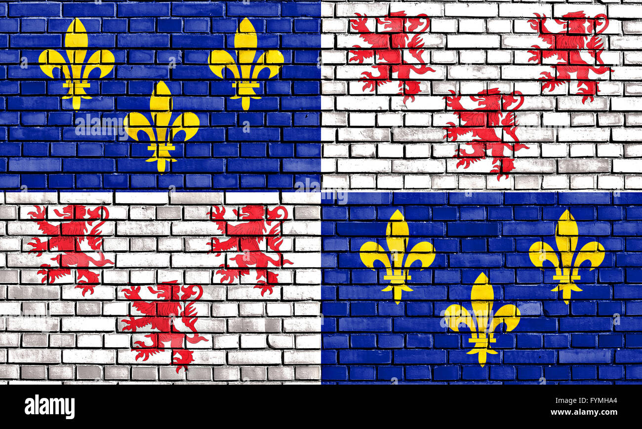 Medieval French Flag