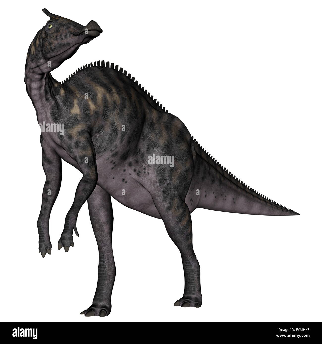 Saurolophus hi-res stock photography and images - Alamy