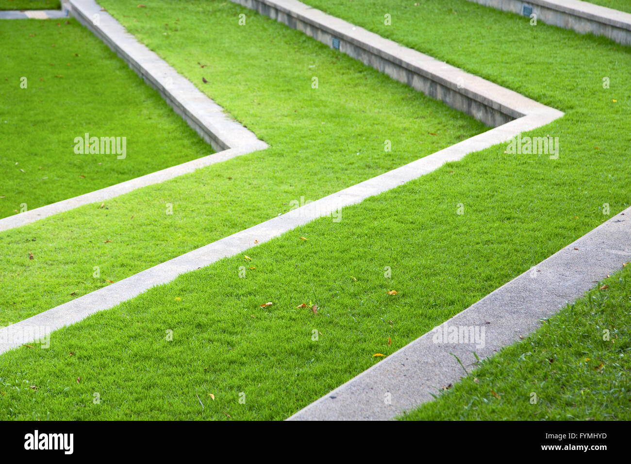 thailand abstract grass in the temple bangkok asia Stock Photo - Alamy