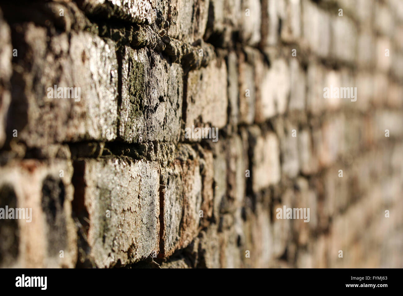 Selective focus wall hi-res stock photography and images - Alamy