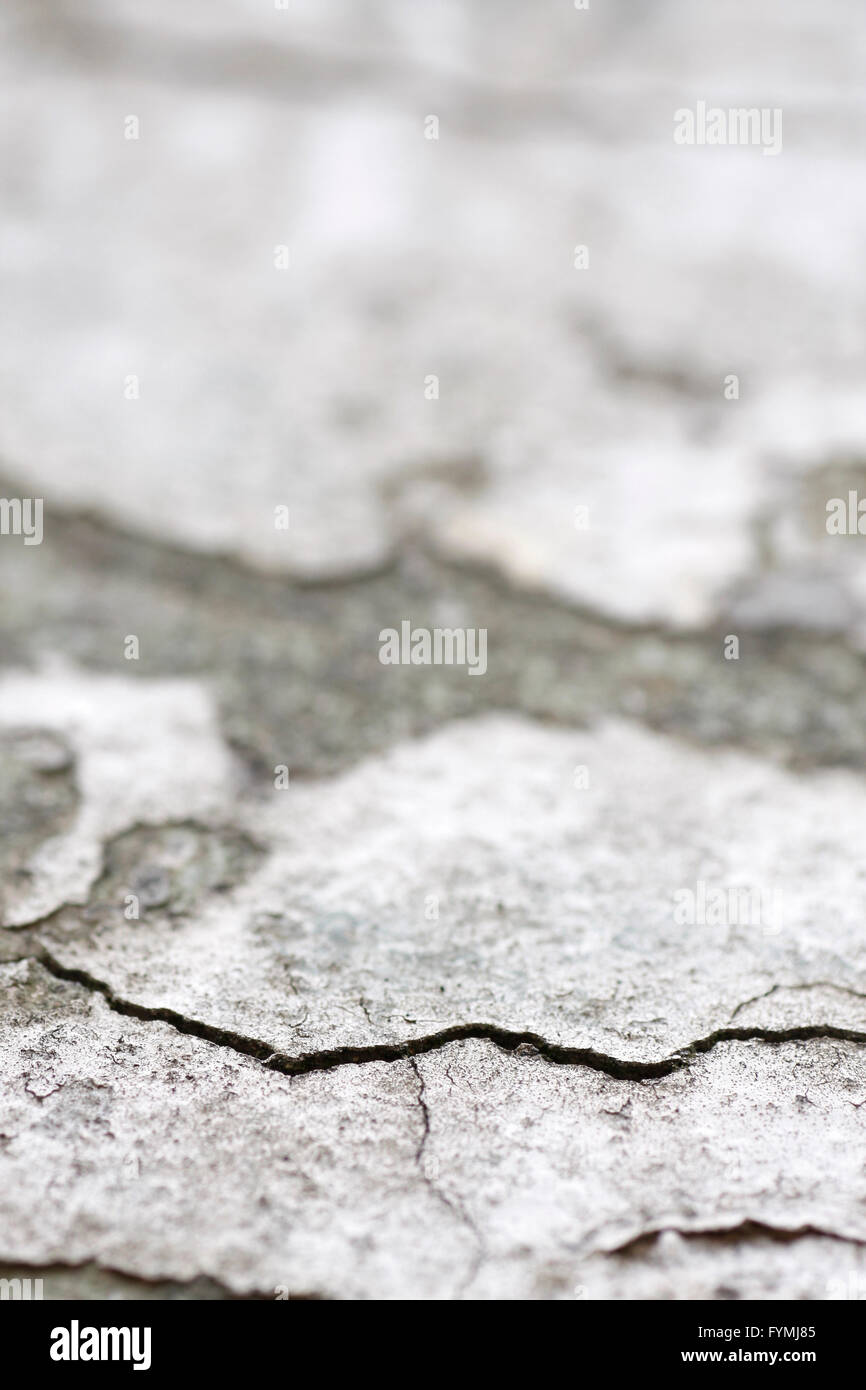 Cracked wall background Stock Photo - Alamy