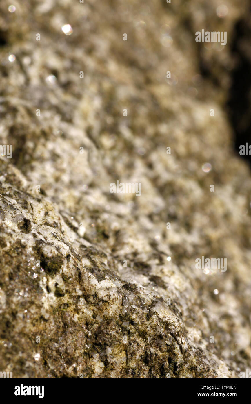 Close-up textured rock background Stock Photo - Alamy