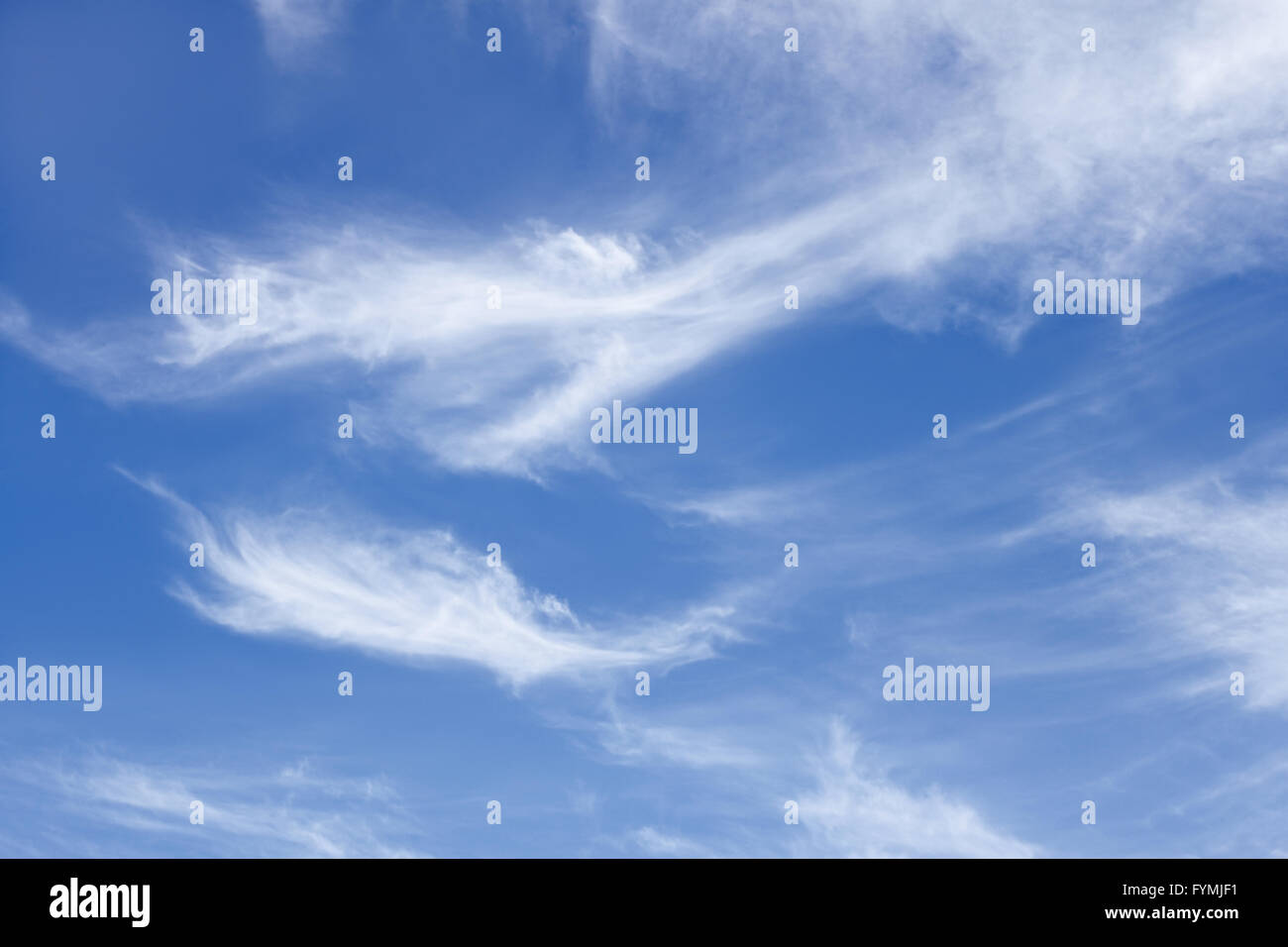 Elongated form hi-res stock photography and images - Alamy