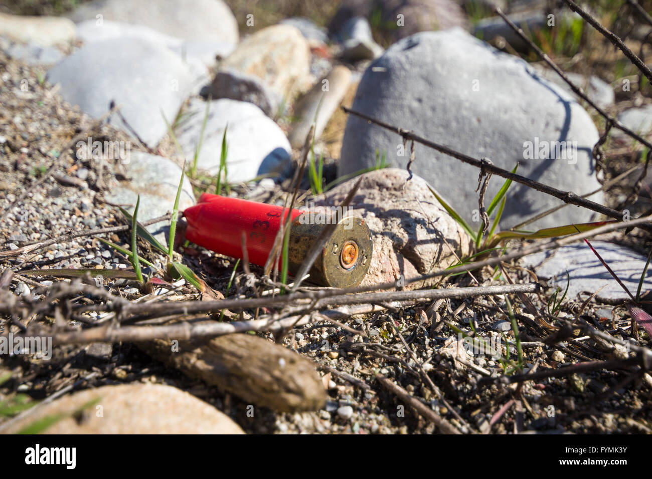 Used fired shells empty red shot gun bullet cartridge Stock Photo - Alamy