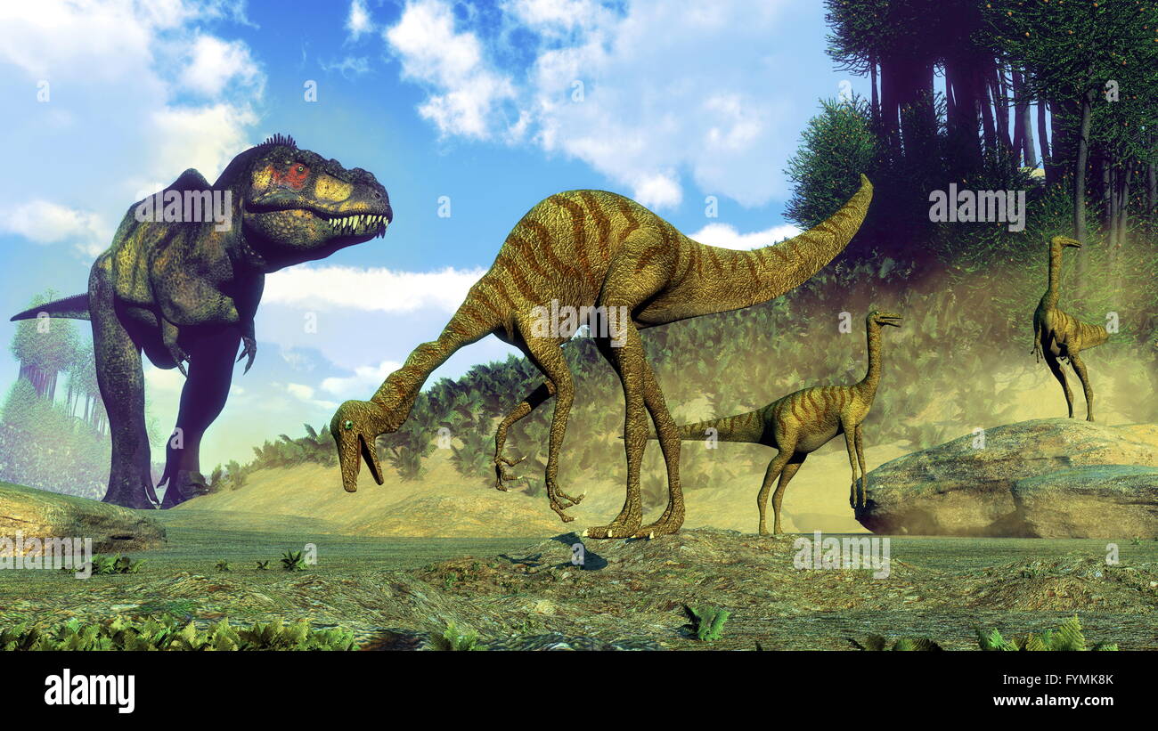 Tyrannosaurus rex surprising gallimimus dinosaurs - 3D render Stock ...