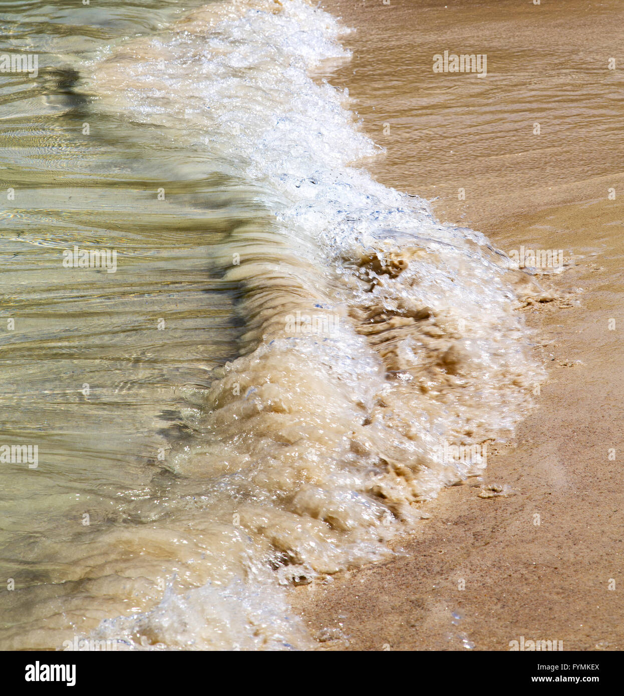 thailand phangan bay abstract of a gold in water Stock Photo - Alamy
