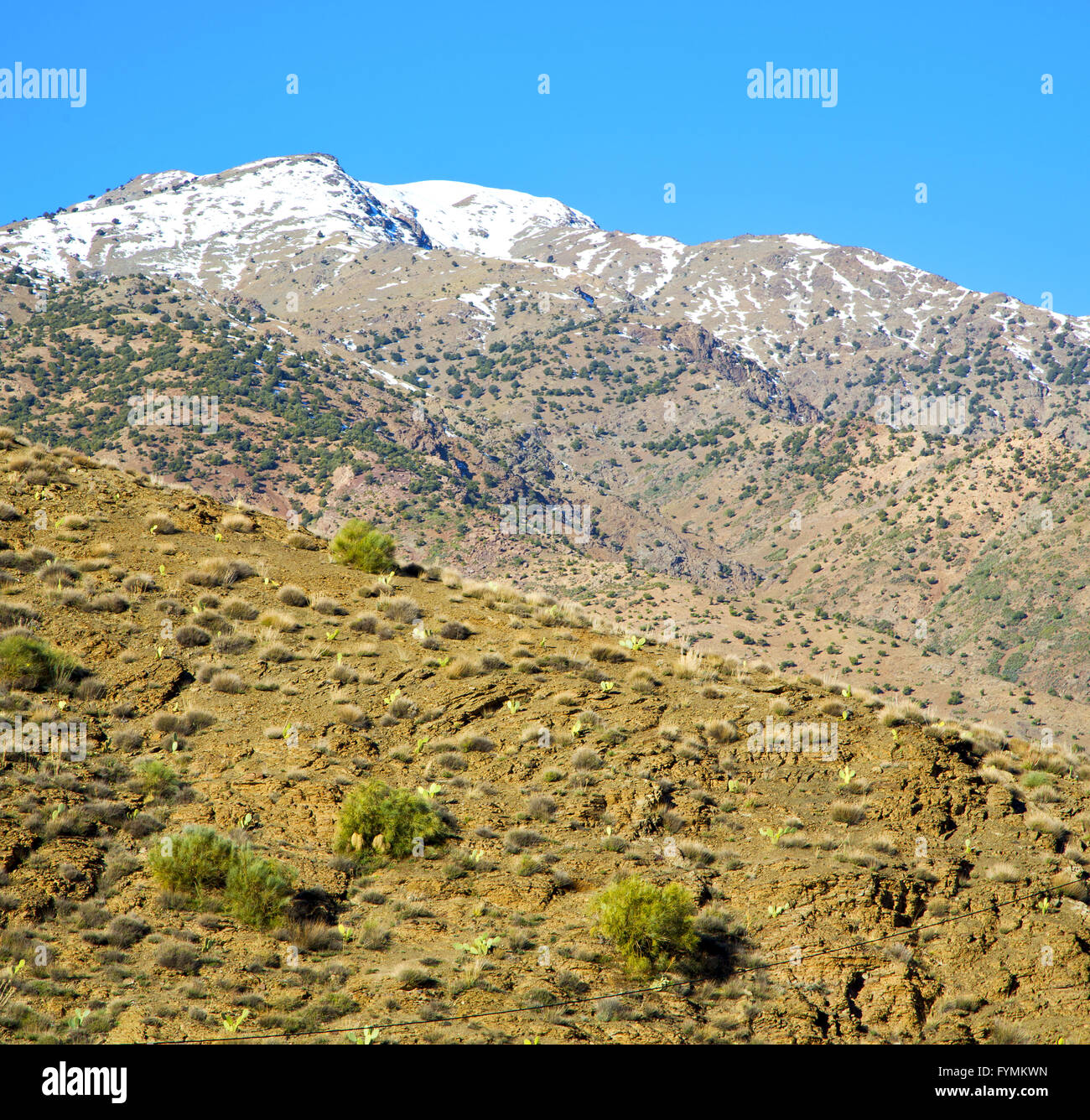 in ground africa morocco the bush dry atlas mountain Stock Photo - Alamy