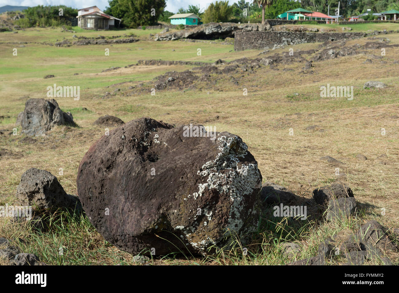 Head of a fallen Moai, Tahai ceremonial complex, Hanga Roa, Rapa Nui ...