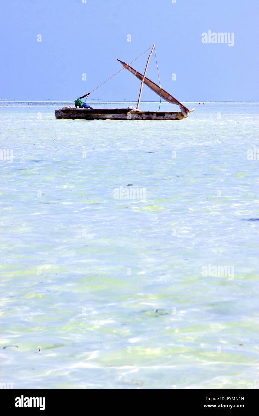 beach in zanzibar seaweed indian ocean tanzania sailing Stock Photo - Alamy