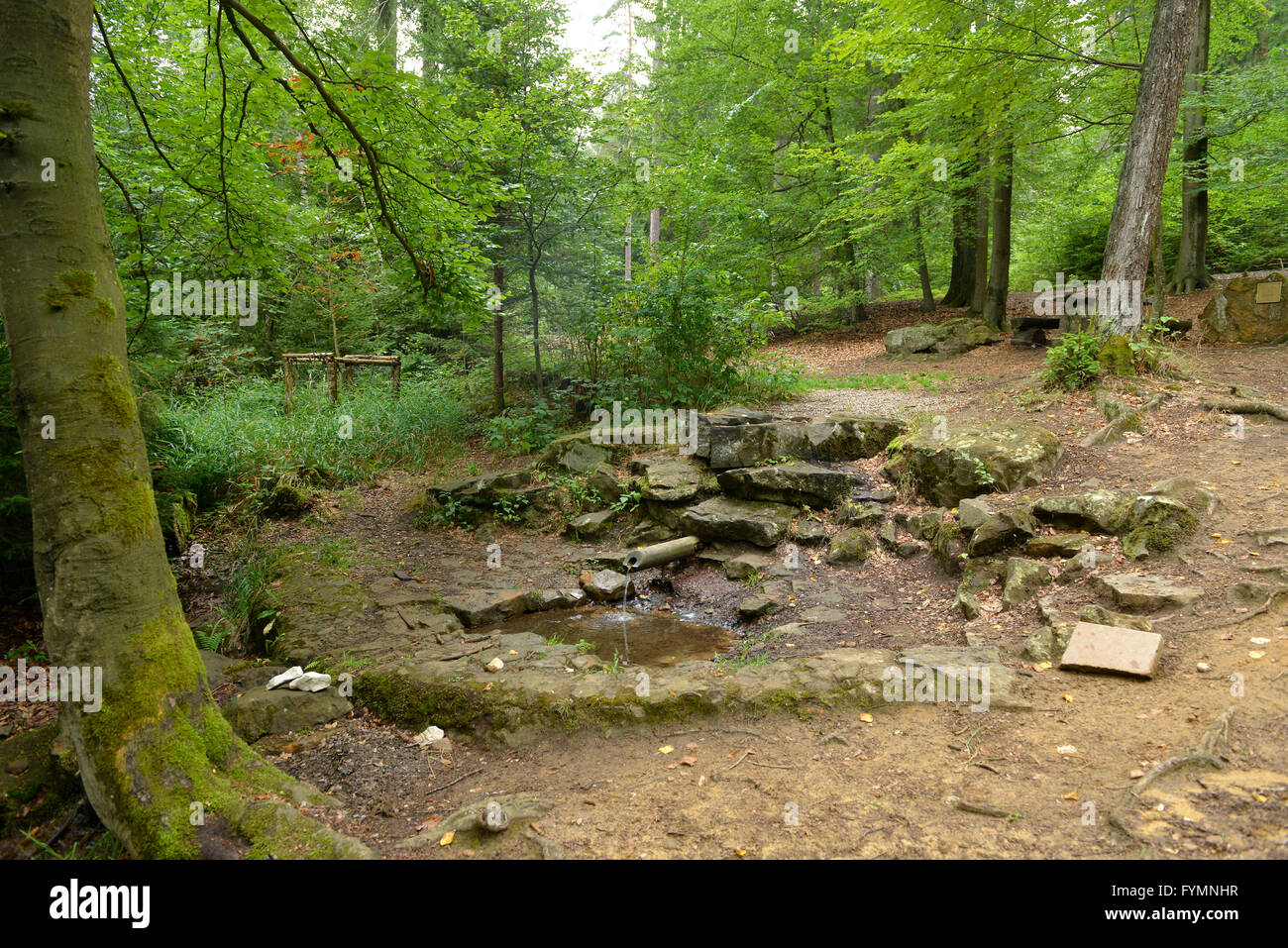 Quelle, Rotmain, Bayern, Deutschland Stock Photo - Alamy