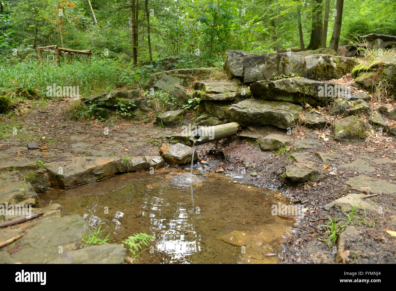 Quelle, Rotmain, Bayern, Deutschland Stock Photo - Alamy