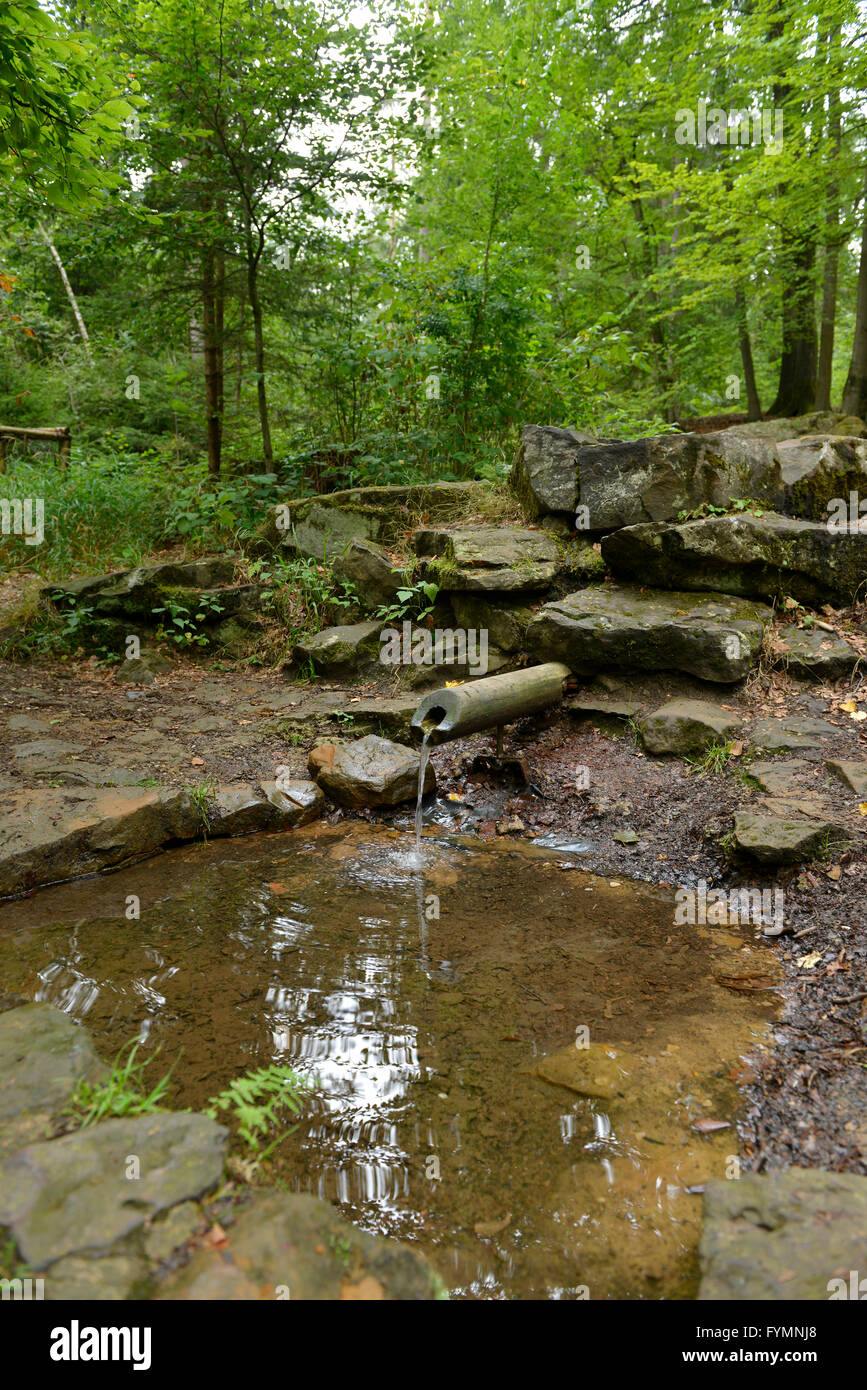 Quelle, Rotmain, Bayern, Deutschland Stock Photo - Alamy