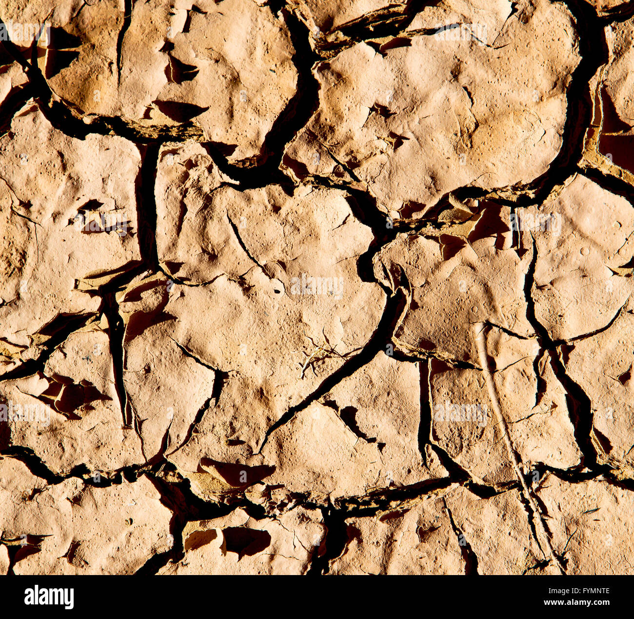 cracked sand in morocco africa desert abstract macro Stock Photo - Alamy