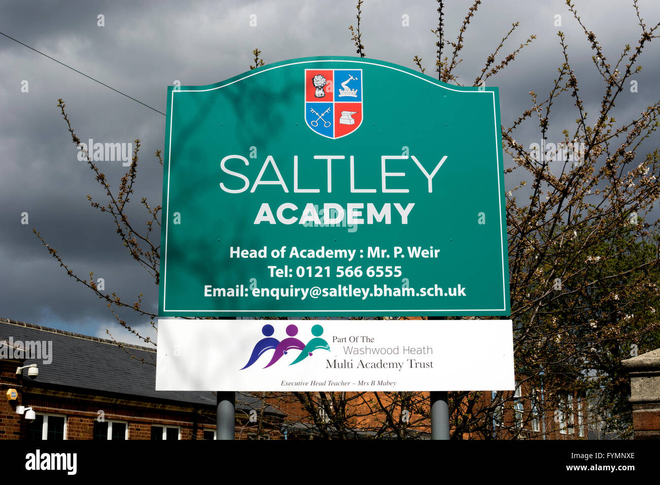 Saltley School Logo