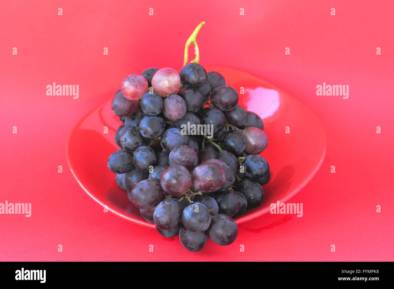 Grapes images hi-res stock photography and images - Alamy