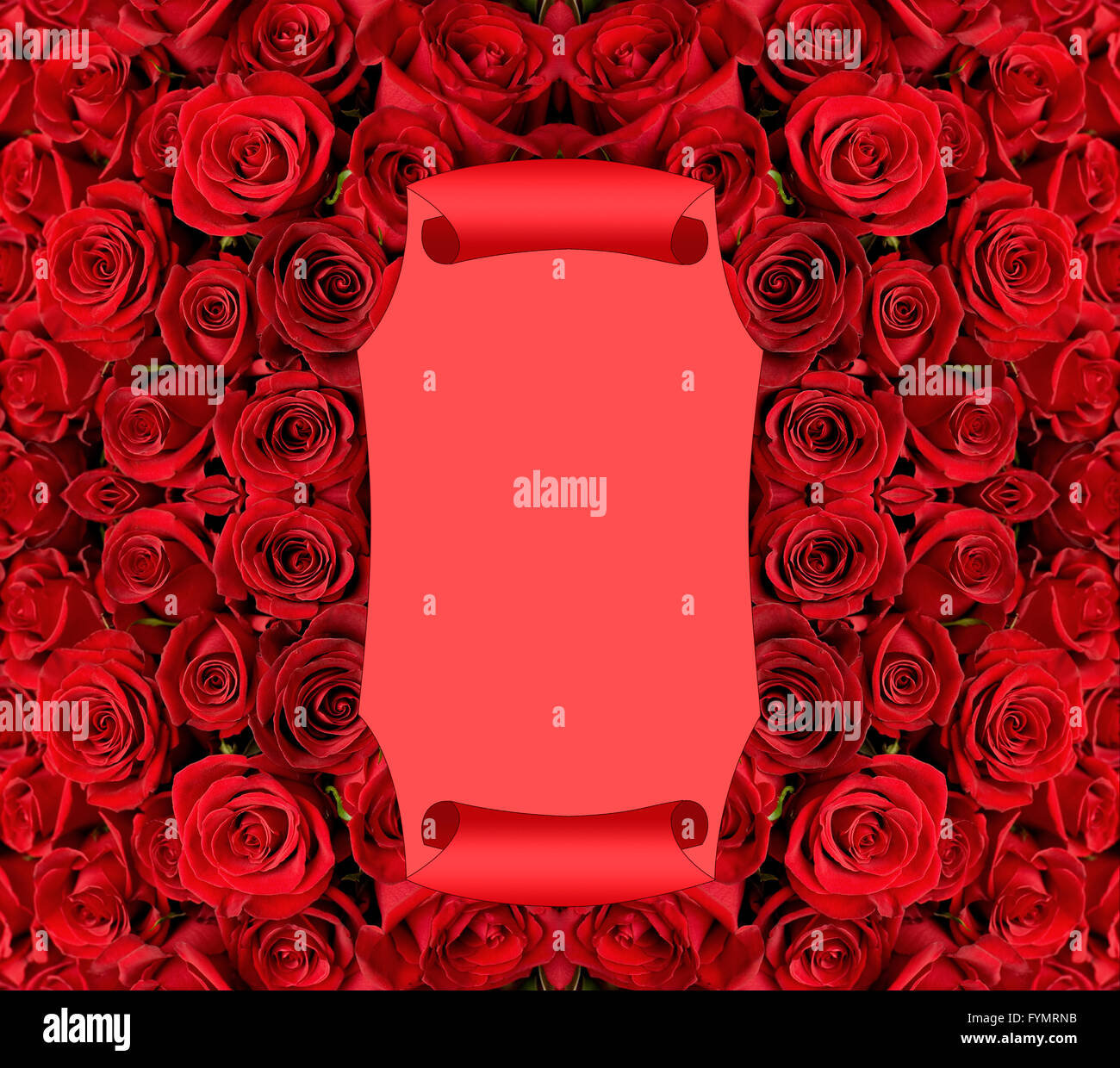scroll over red roses background Stock Photo - Alamy