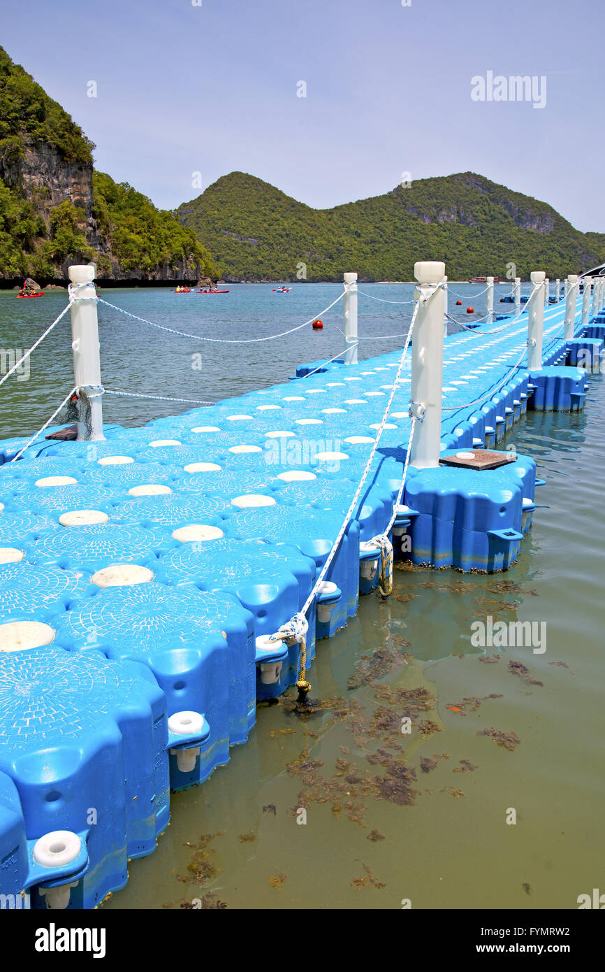 plastic pier coastline of lagoon and tree south Stock Photo - Alamy