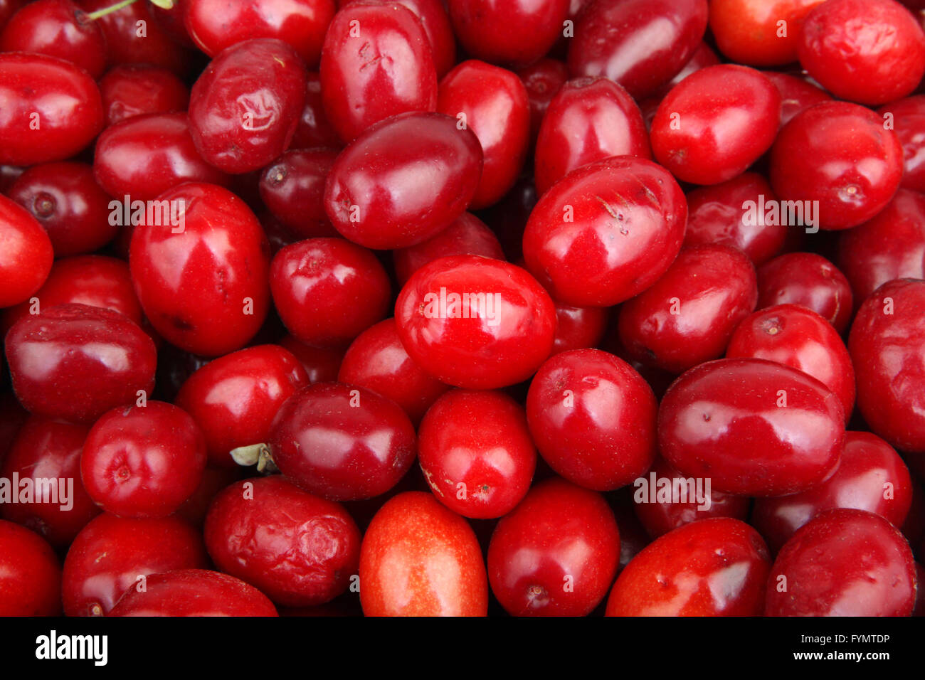 Cornus mas berries close hi-res stock photography and images - Alamy