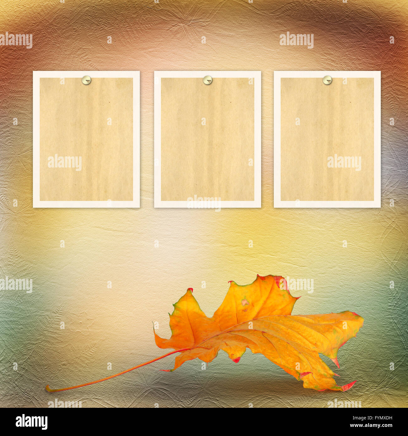 Concept foliage hi-res stock photography and images - Alamy
