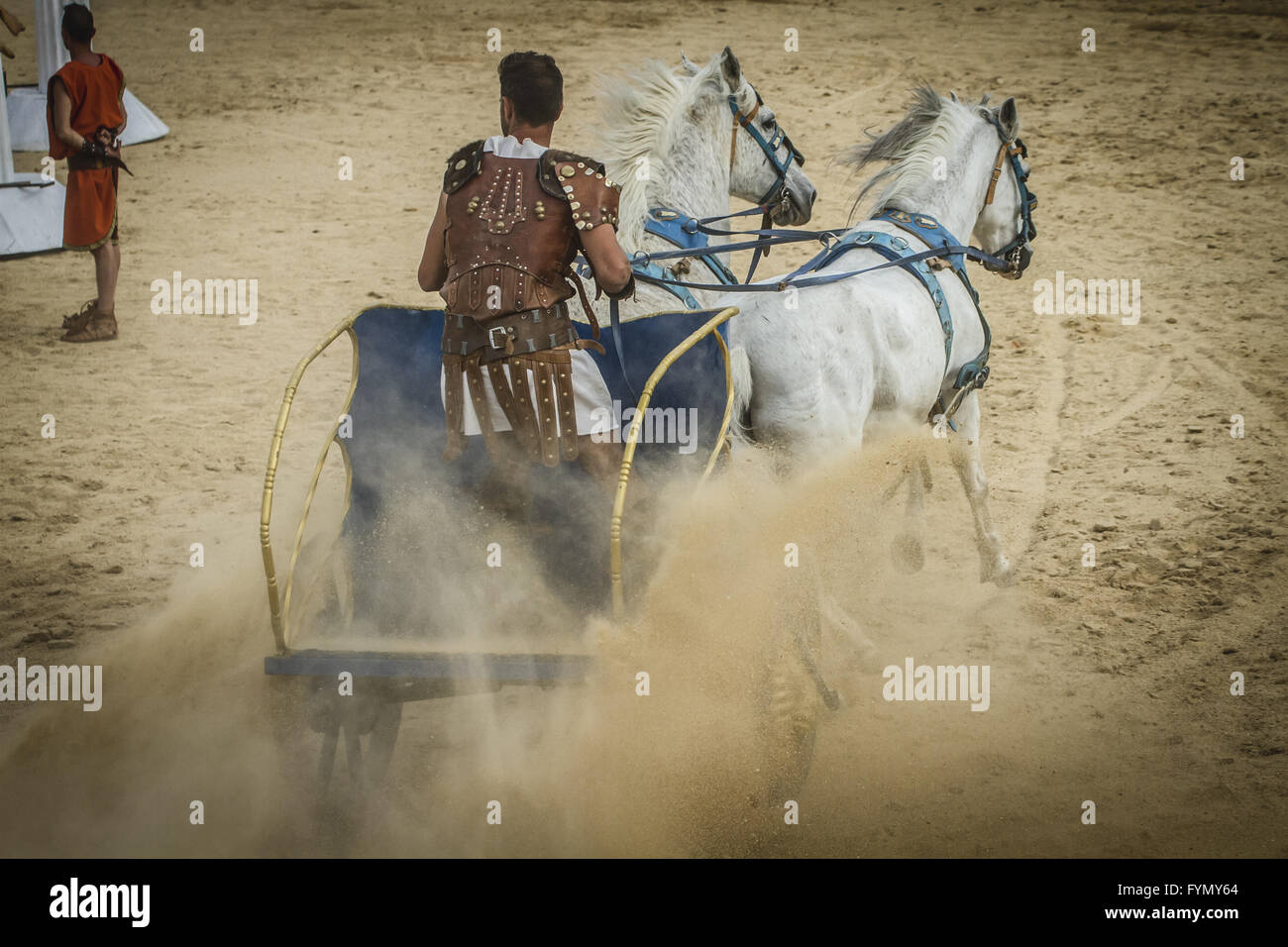 Circus horses hi-res stock photography and images - Alamy