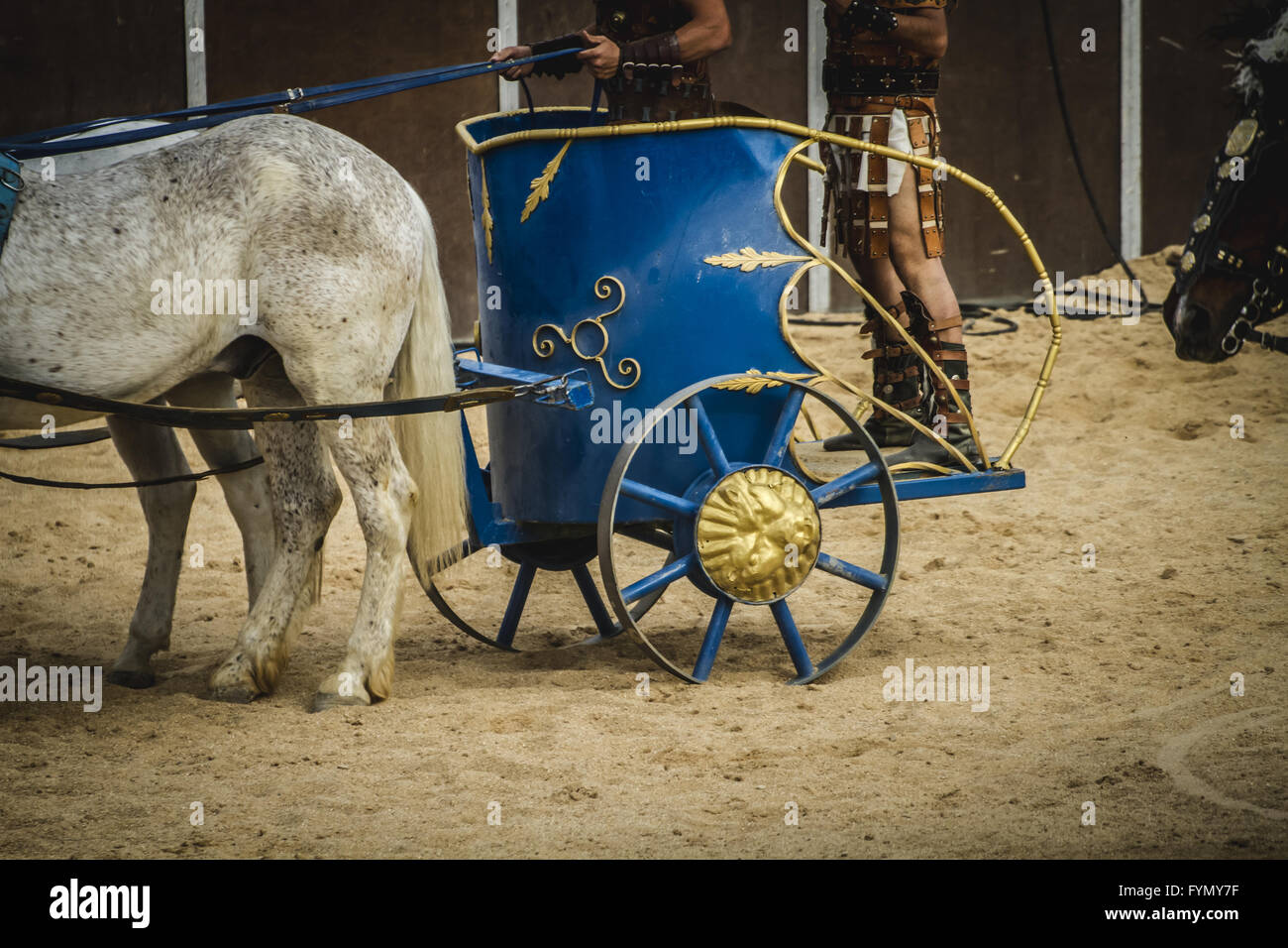 Strong, chariot race in a Roman circus, gladiators and slaves fighting ...