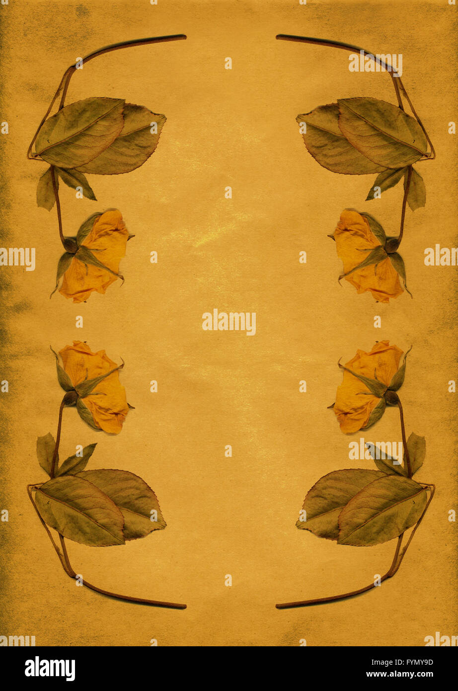 Flower wall fresco border hi-res stock photography and images - Alamy