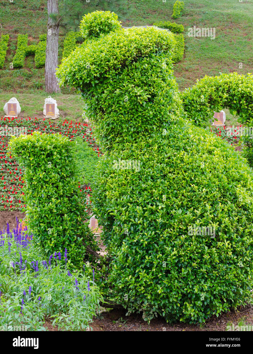 Trimmed plant hi-res stock photography and images - Alamy