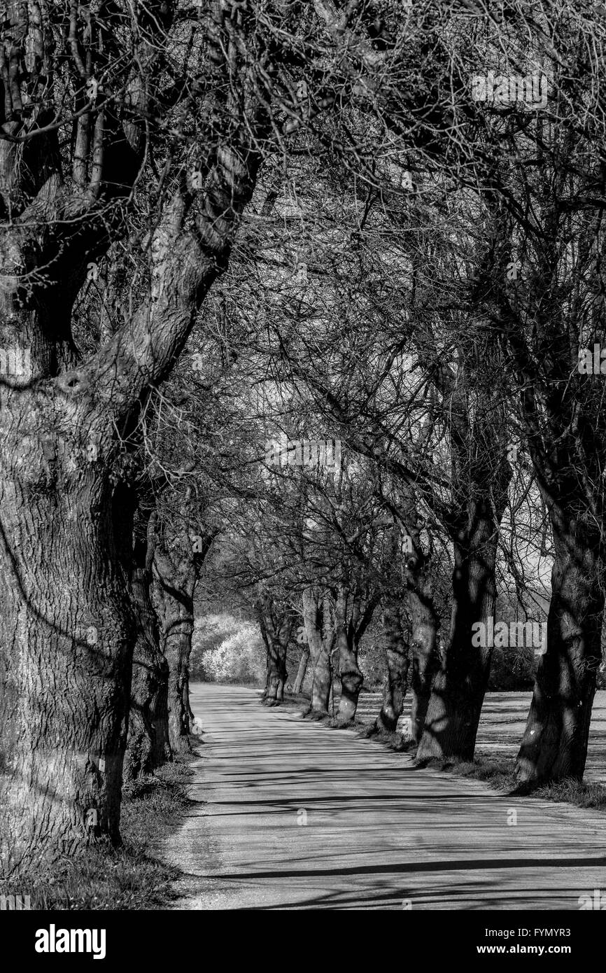 Spring season beauty country Black and White Stock Photos & Images - Alamy