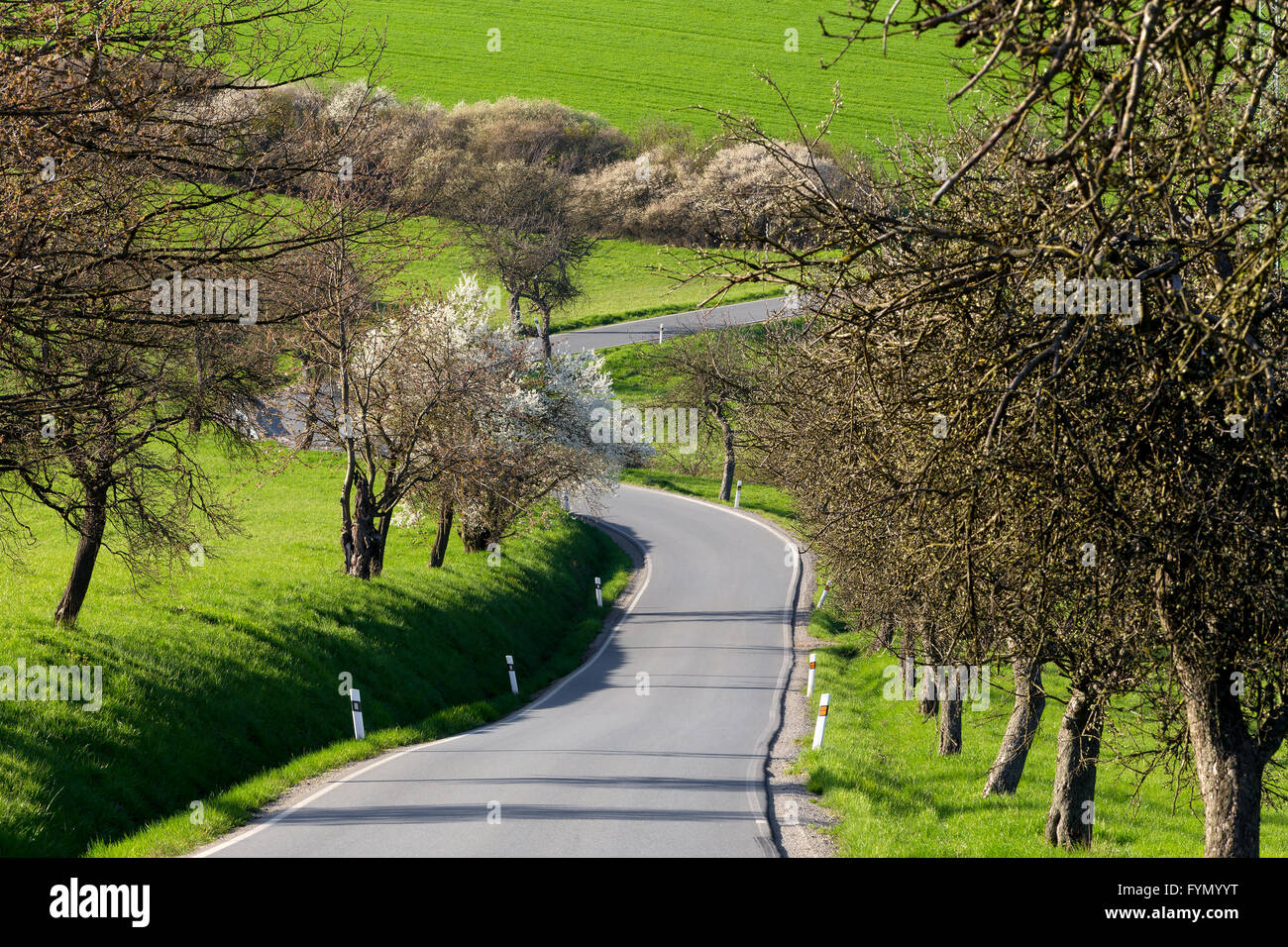 Springy time hi-res stock photography and images - Alamy
