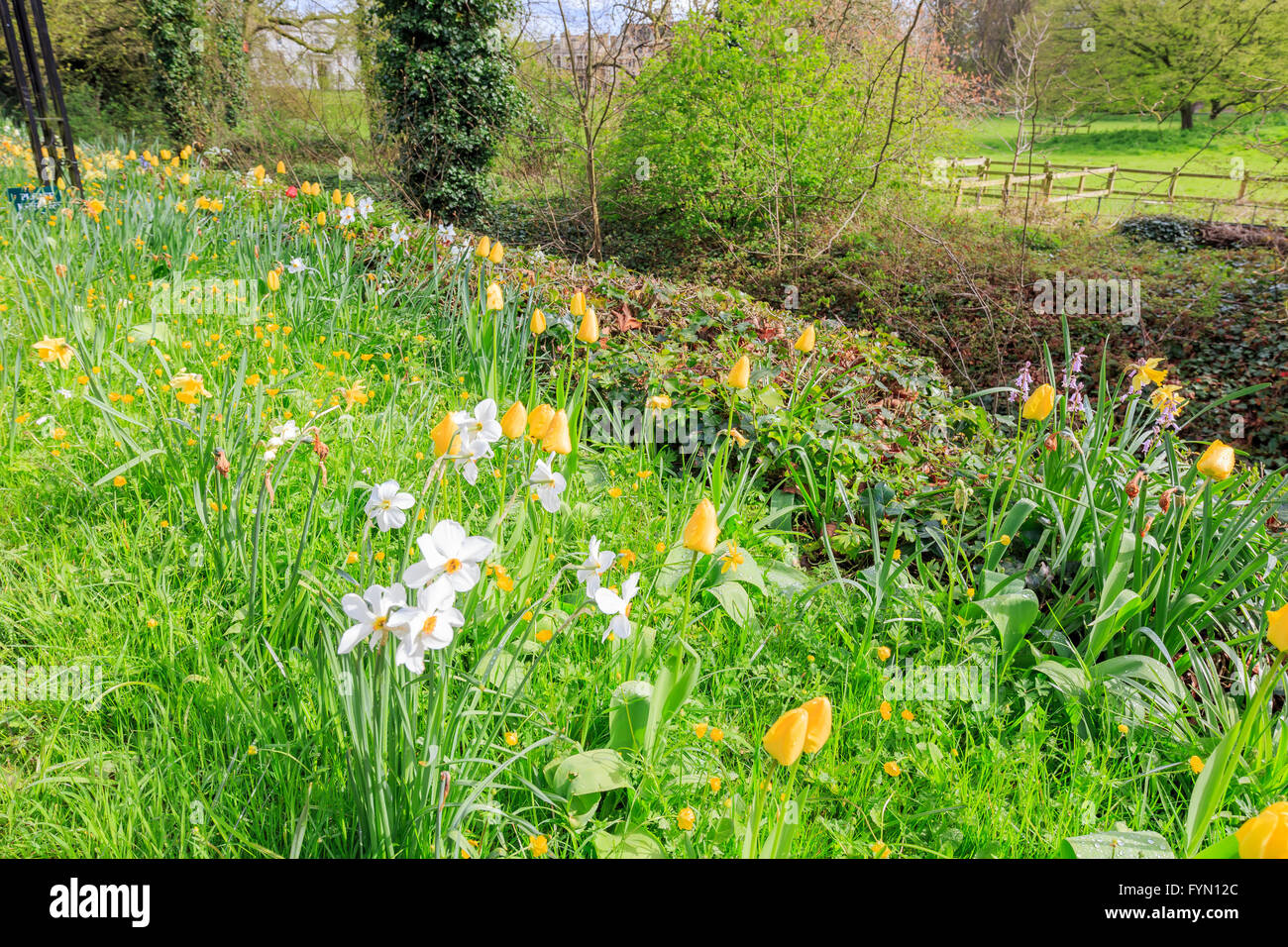 Beautiful places around the famous Clare College at Cambridge ...