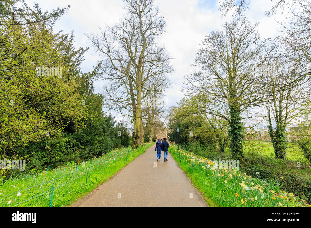 Clare college garden hi-res stock photography and images - Alamy
