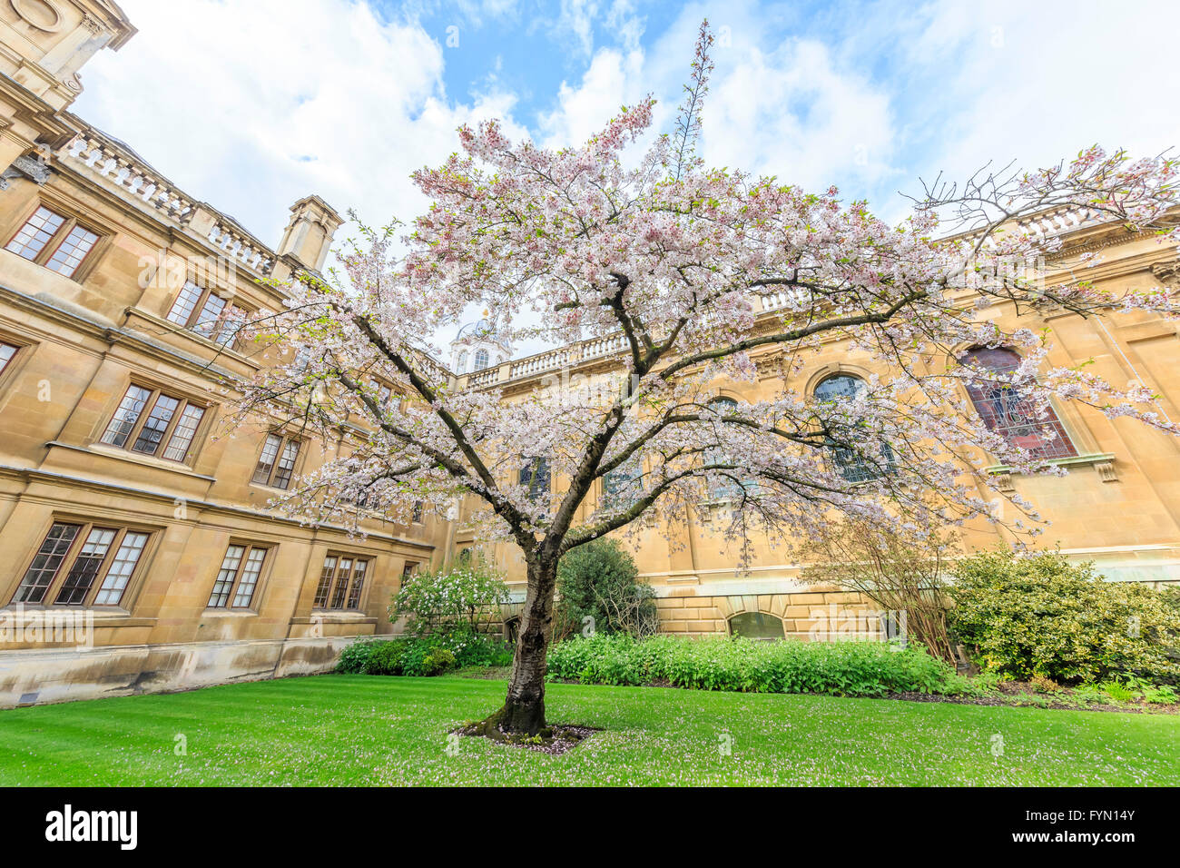 Beautiful places around the famous Clare College at Cambridge ...