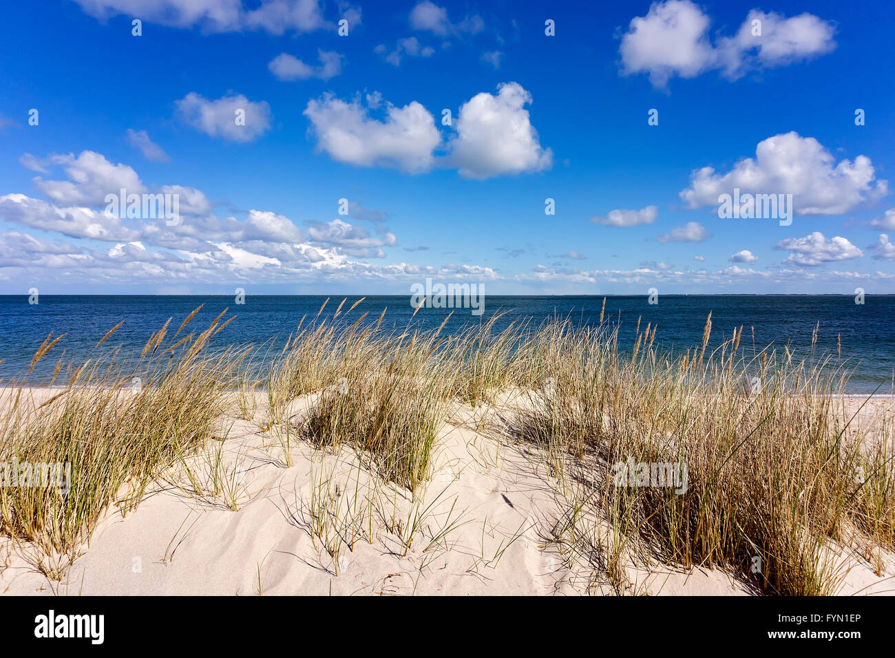 Sunny beach location hi-res stock photography and images - Alamy