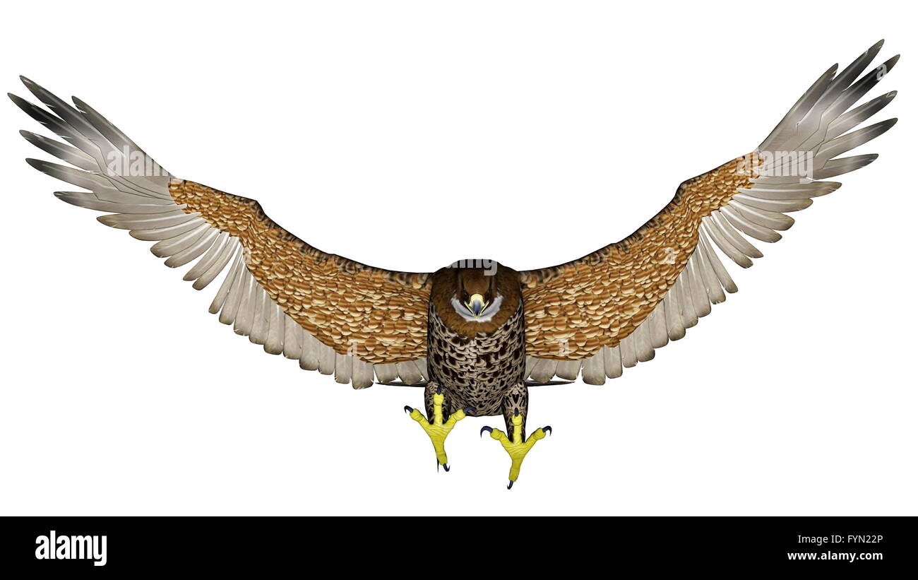 The dark falcon Cut Out Stock Images & Pictures - Alamy